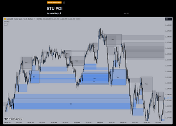 Courses/Private Mentorship/Indicators – Essential Traders